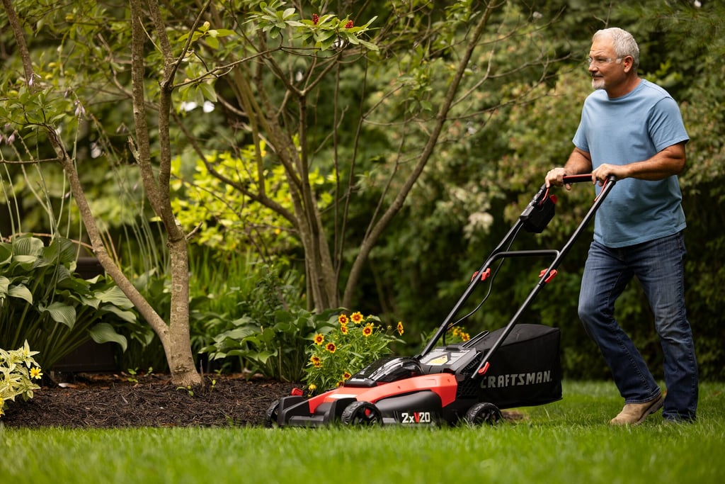 V20* brushless cordless 20-inch push lawn mower with (2) 5.0ah ...
